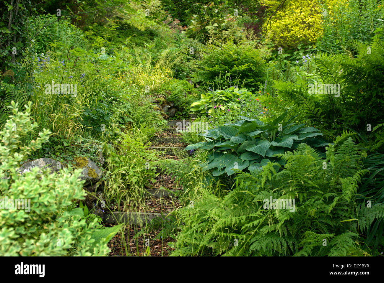 Bank Planting High Resolution Stock Photography and Images - Alamy