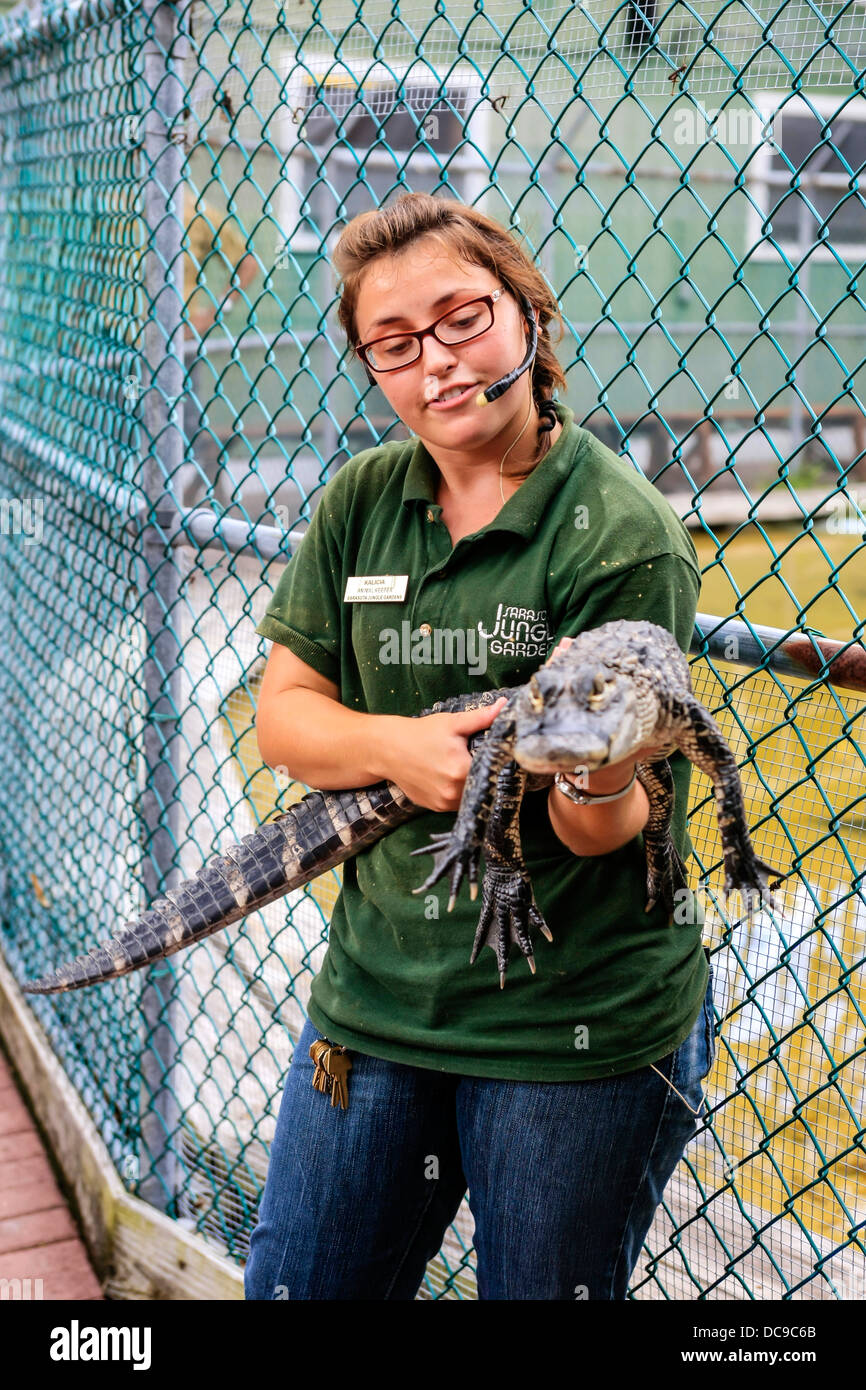 Animal handler at the Sarasota Jungle Gardens handles and talks about ...