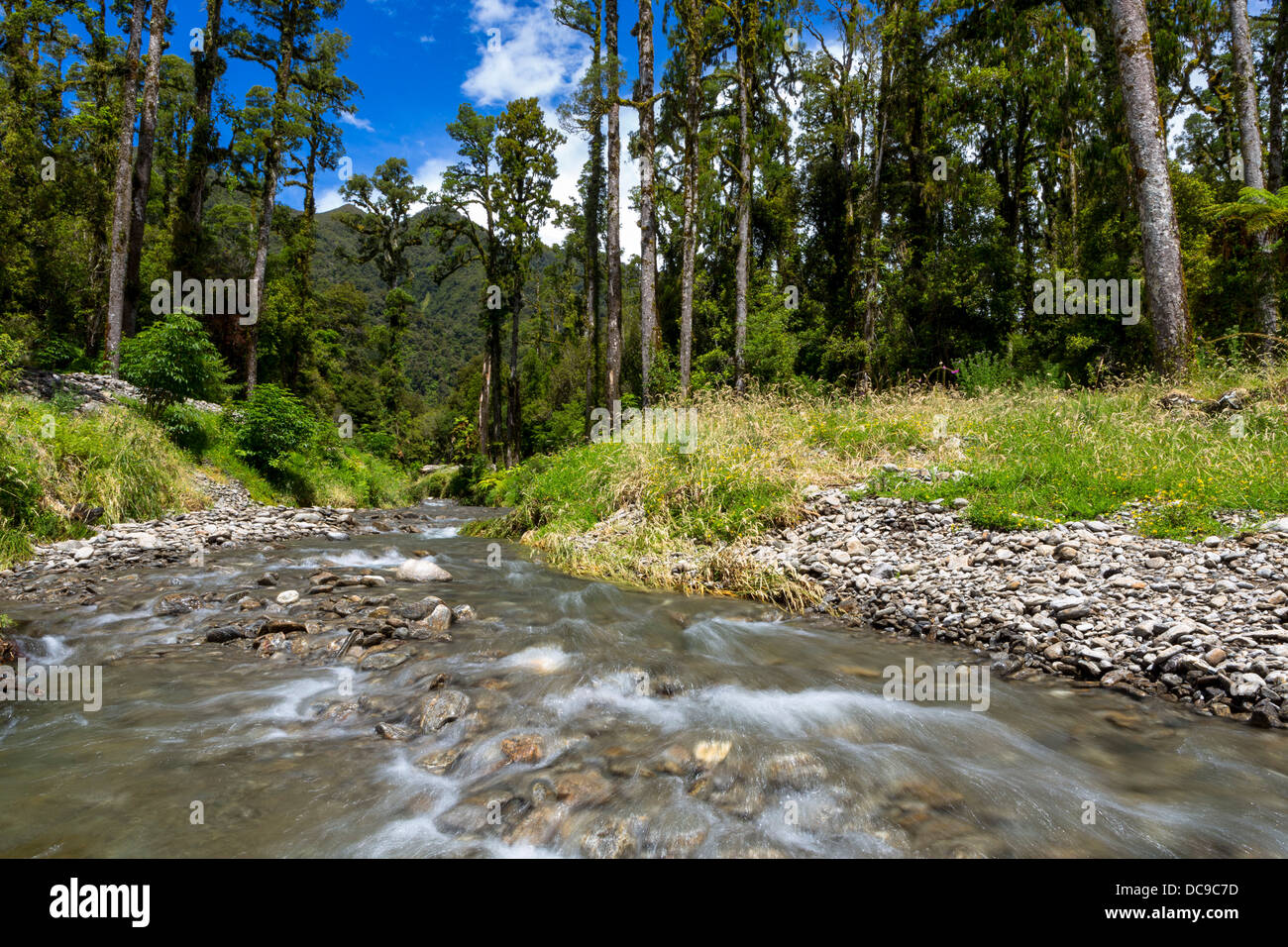 The Blackwater Creek below the Douglas Range Stock Photo - Alamy
