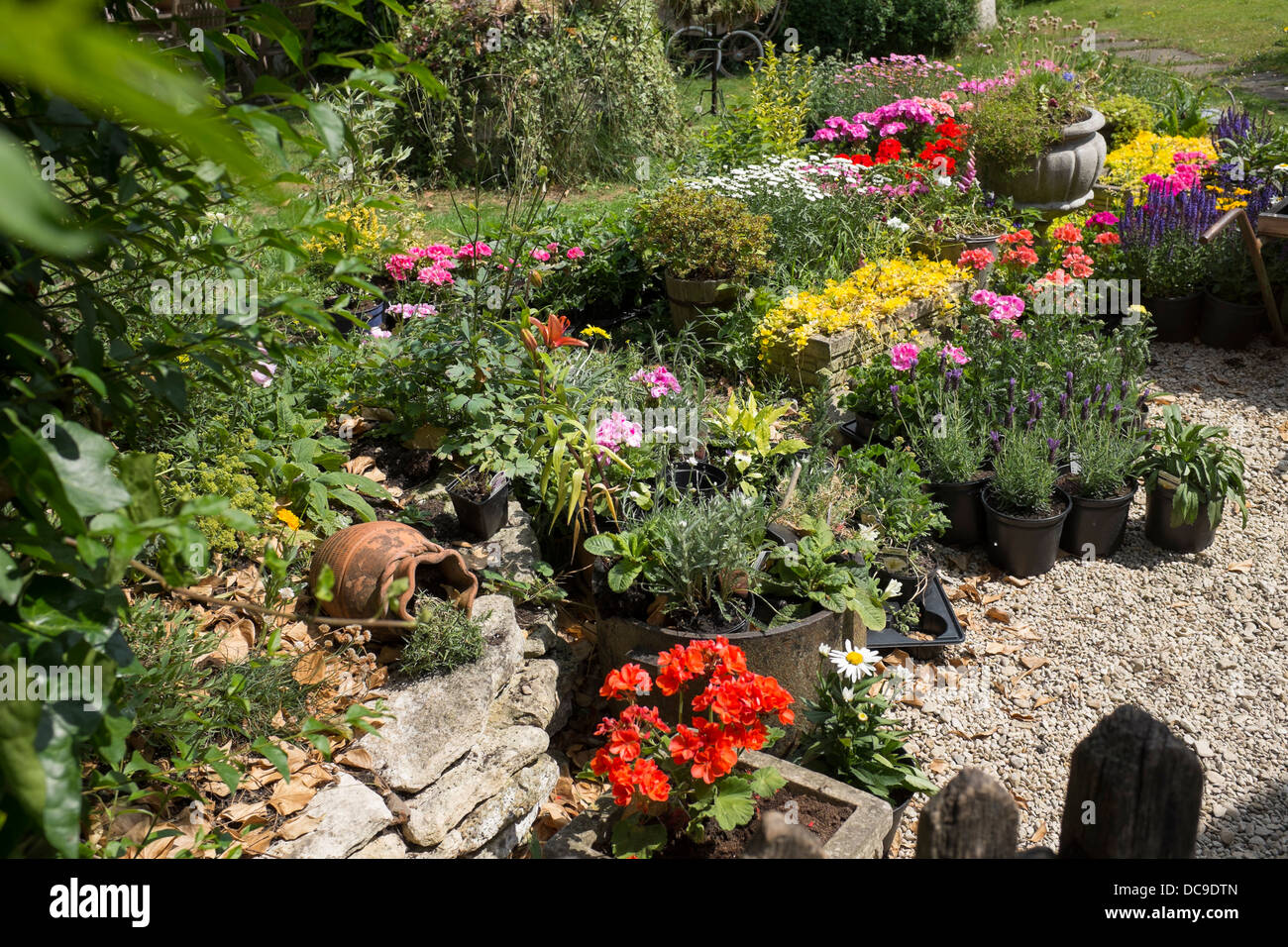 Ornamental flower gardens hi-res stock photography and images - Alamy