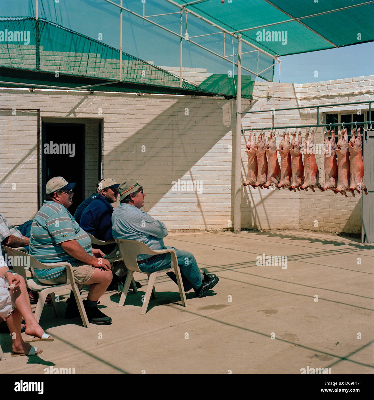 Sheep auction africa hi-res stock photography and images - Alamy