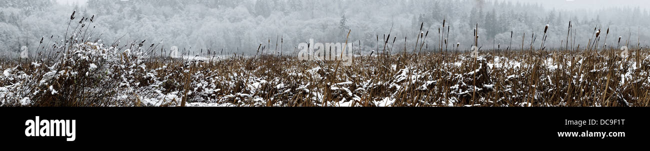 Winter Marsh Panorama Stock Photo - Alamy