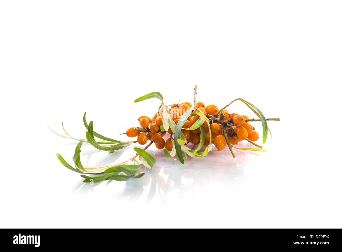 Orange sea buckthorn tea Cut Out Stock Images & Pictures - Alamy