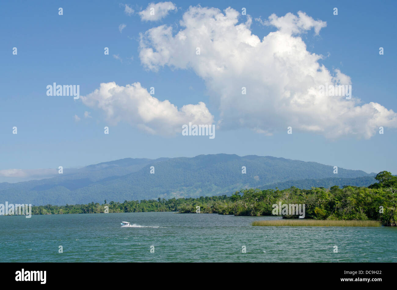 Guatemala, Rio Dulce National Park. Rio Dulce (Sweet River) runs from ...