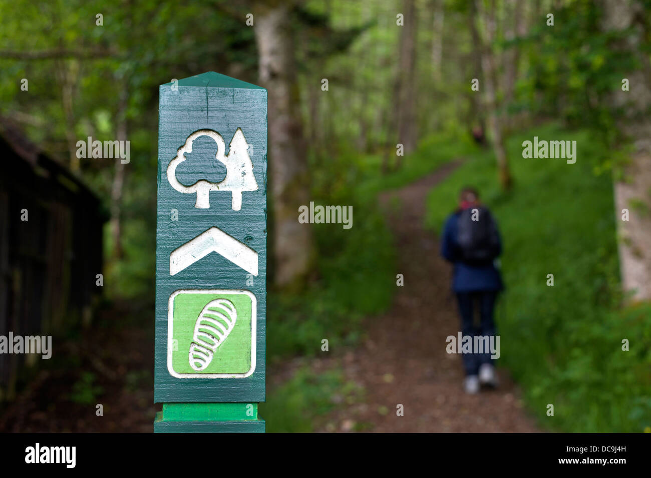Forestry commission logo hi-res stock photography and images - Alamy