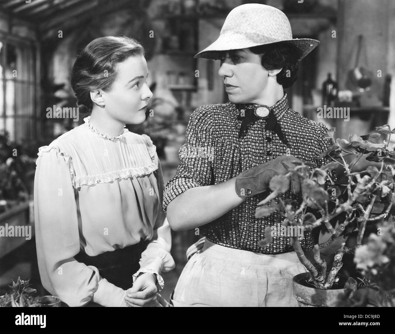 Jane Warner Black and White Stock Photos & Images - Alamy