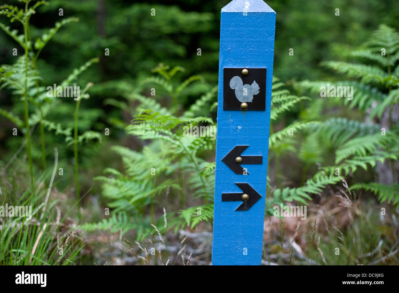 Directionsouth hi-res stock photography and images - Alamy