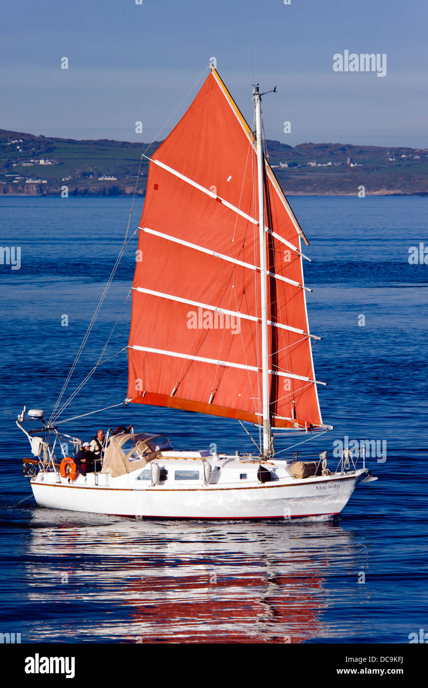 Macavity hi-res stock photography and images - Alamy