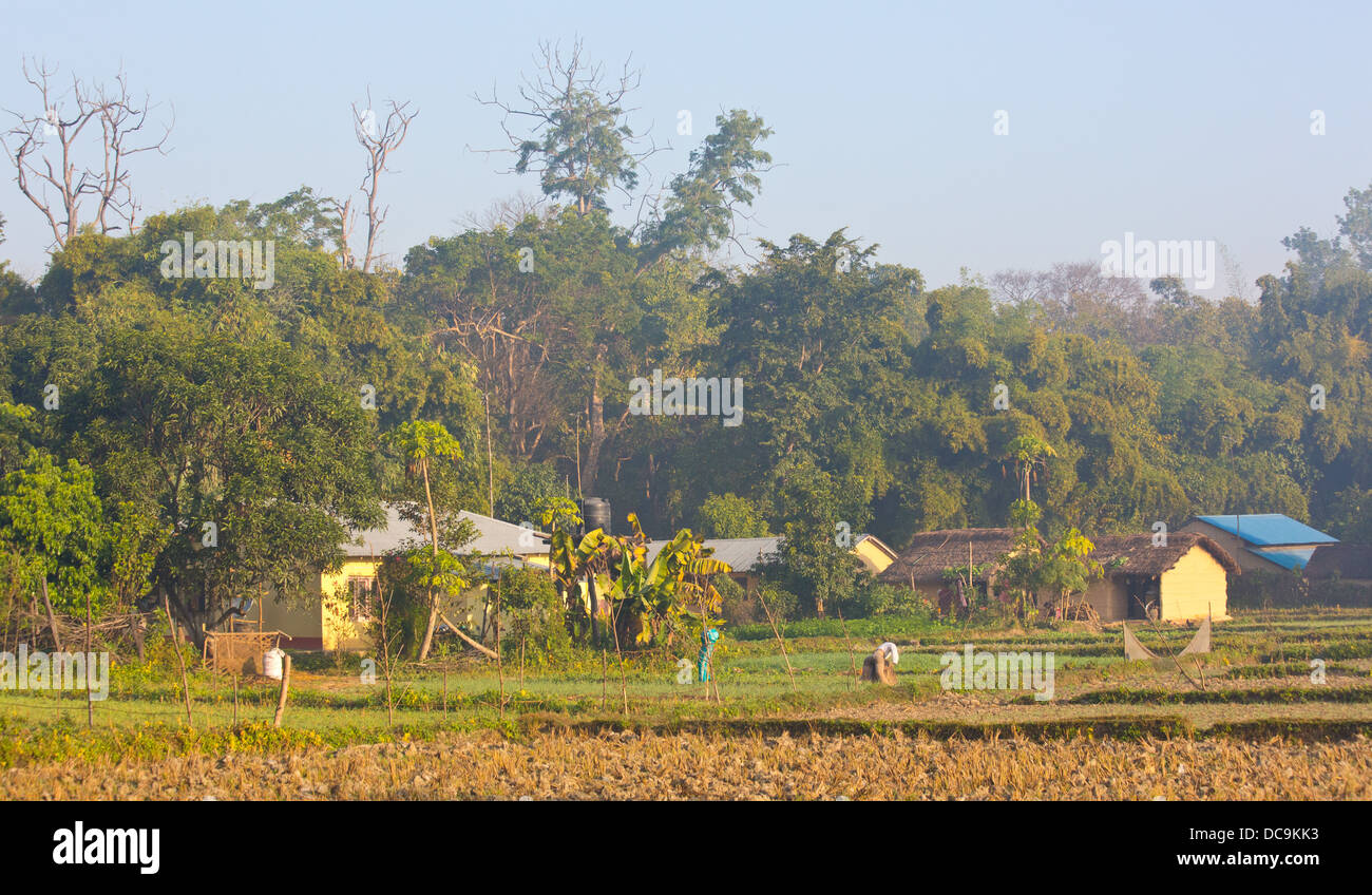 Terai Region High Resolution Stock Photography and Images - Alamy
