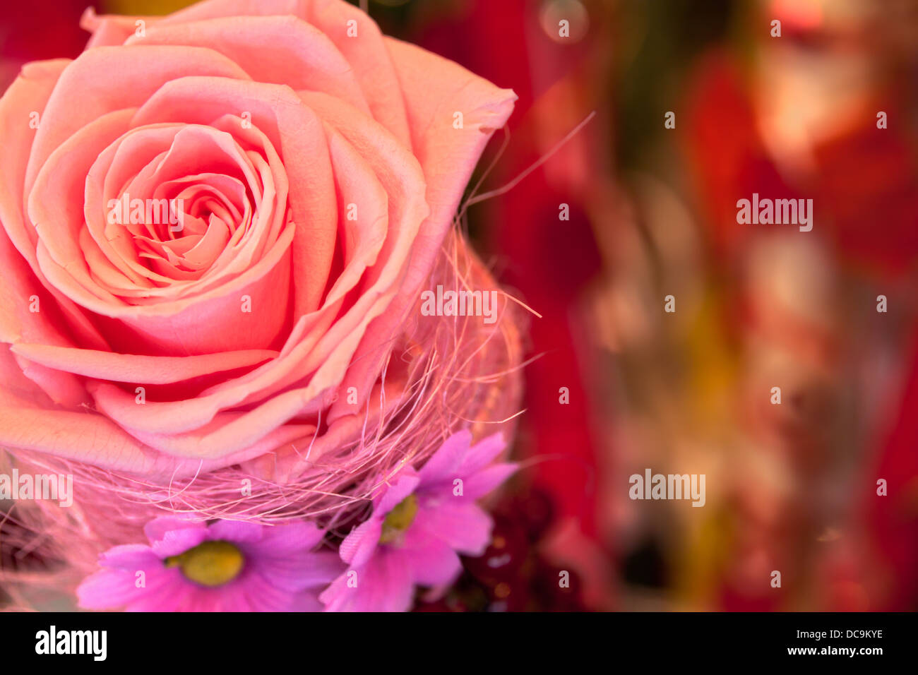 Composition with a rose Stock Photo - Alamy