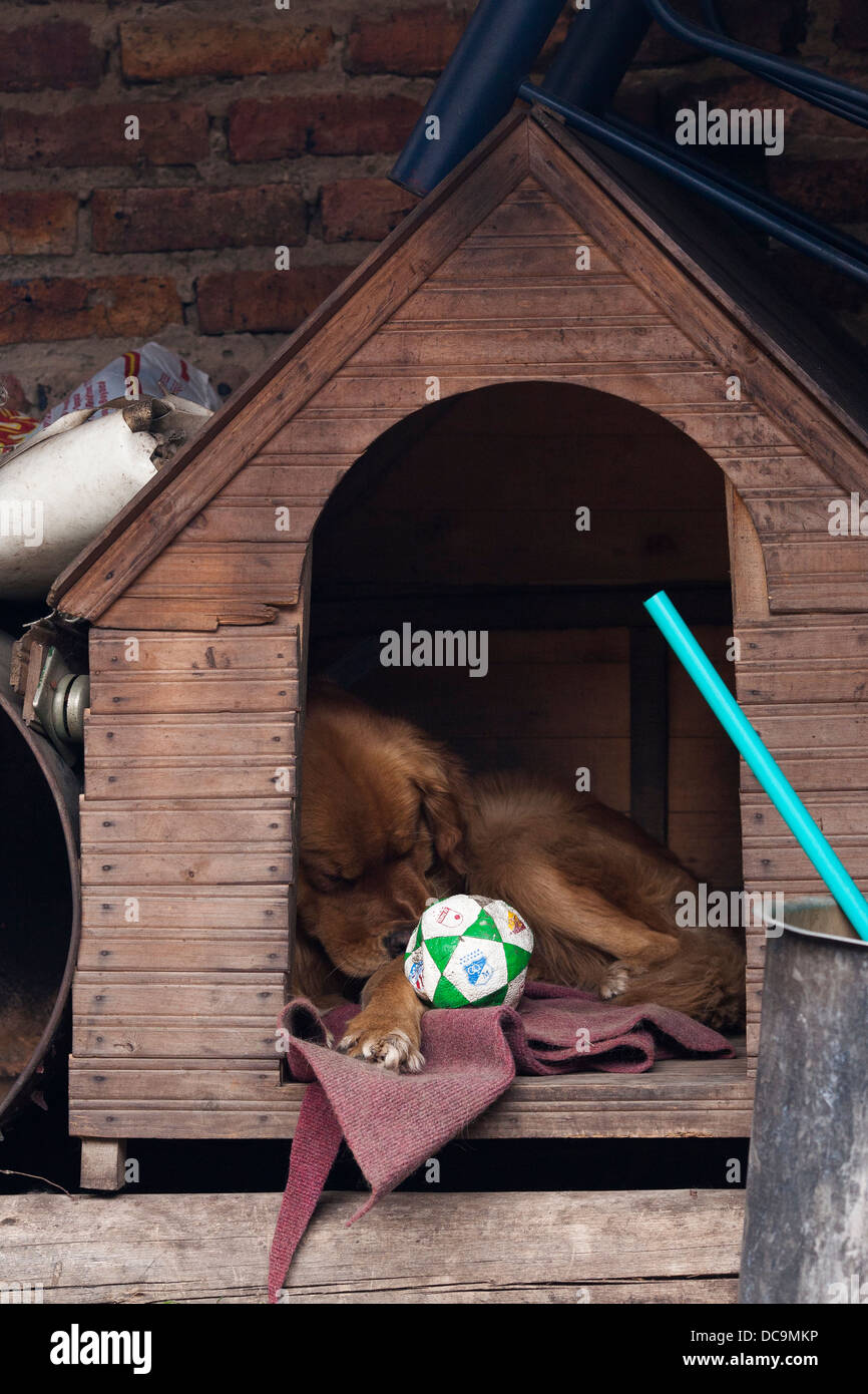Mangled hi-res stock photography and images - Alamy