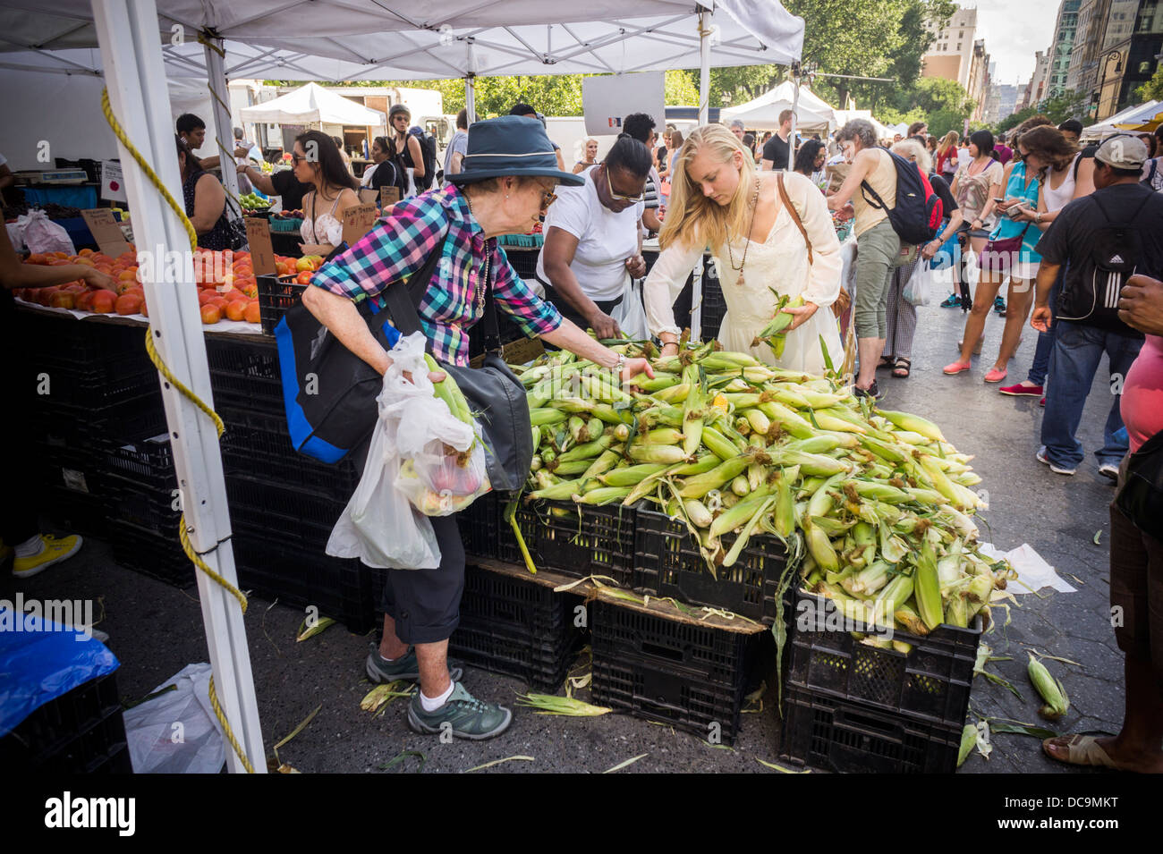 Corn sales hi-res stock photography and images - Alamy