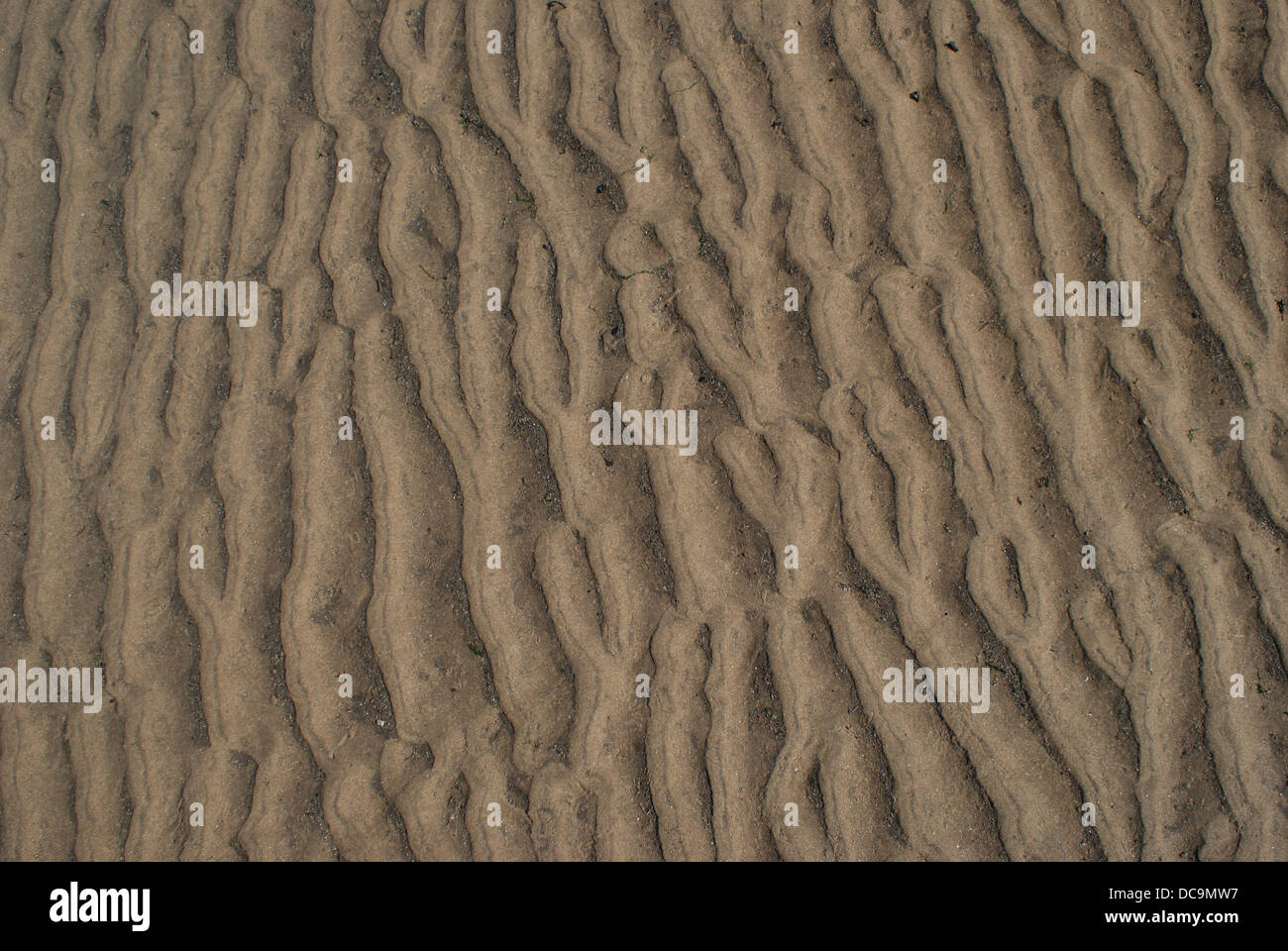 Ripples in sand Stock Photo - Alamy