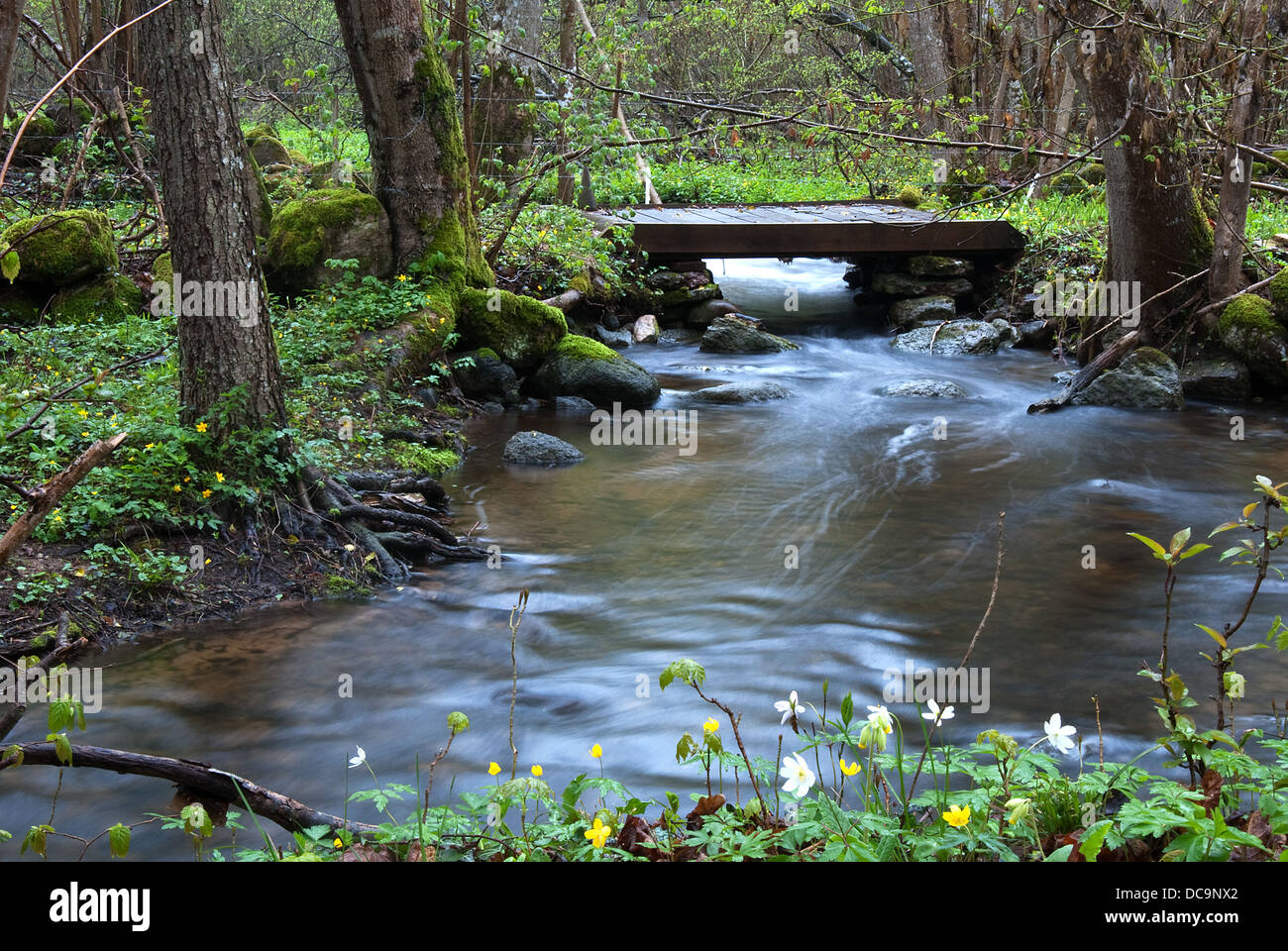 Straeming hi-res stock photography and images - Alamy