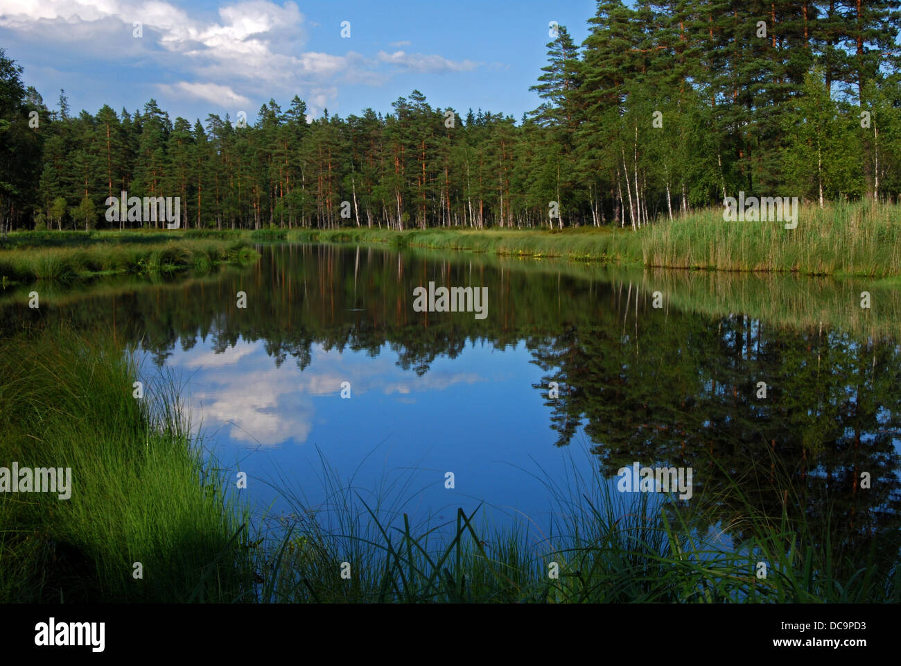 Blue mirror pond hi-res stock photography and images - Alamy
