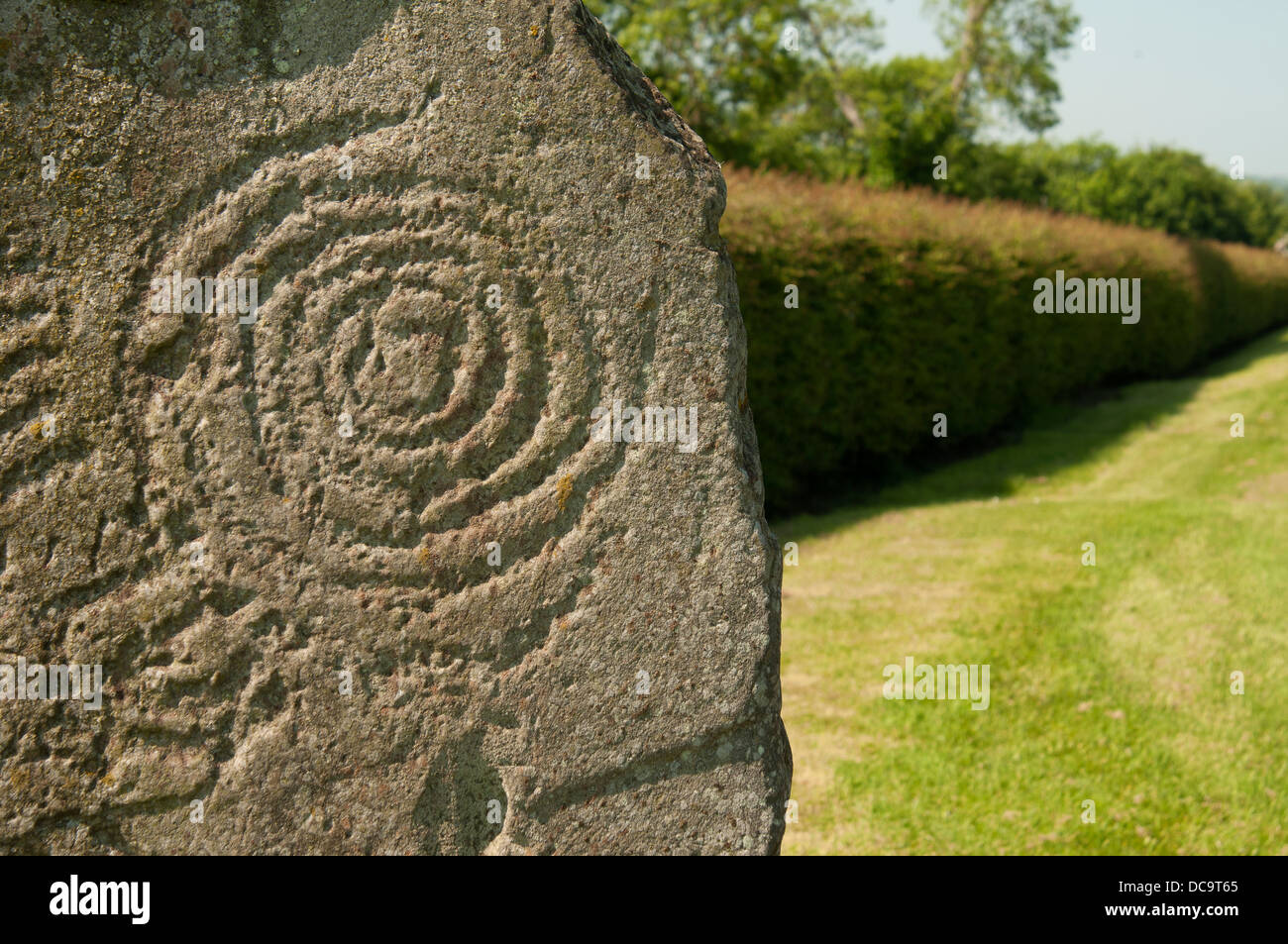 Ireland heritage symbol hi-res stock photography and images - Alamy