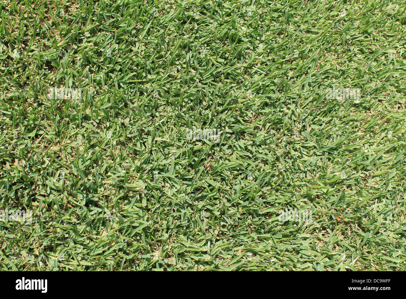 Grass pitch overhead hi-res stock photography and images - Alamy