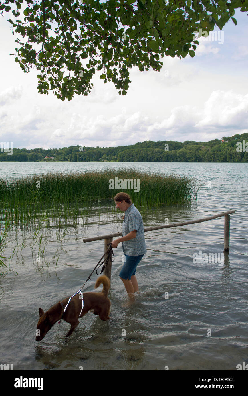 Petra Eisermann and her dog Hugo walk through a water wading path in ...