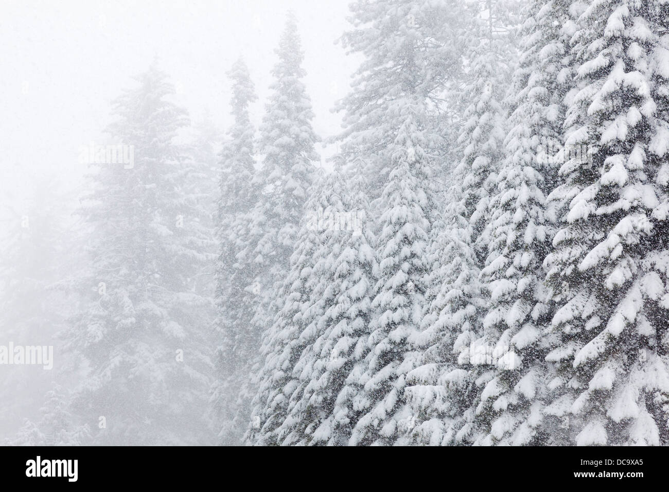 California snowstorm hi-res stock photography and images - Alamy