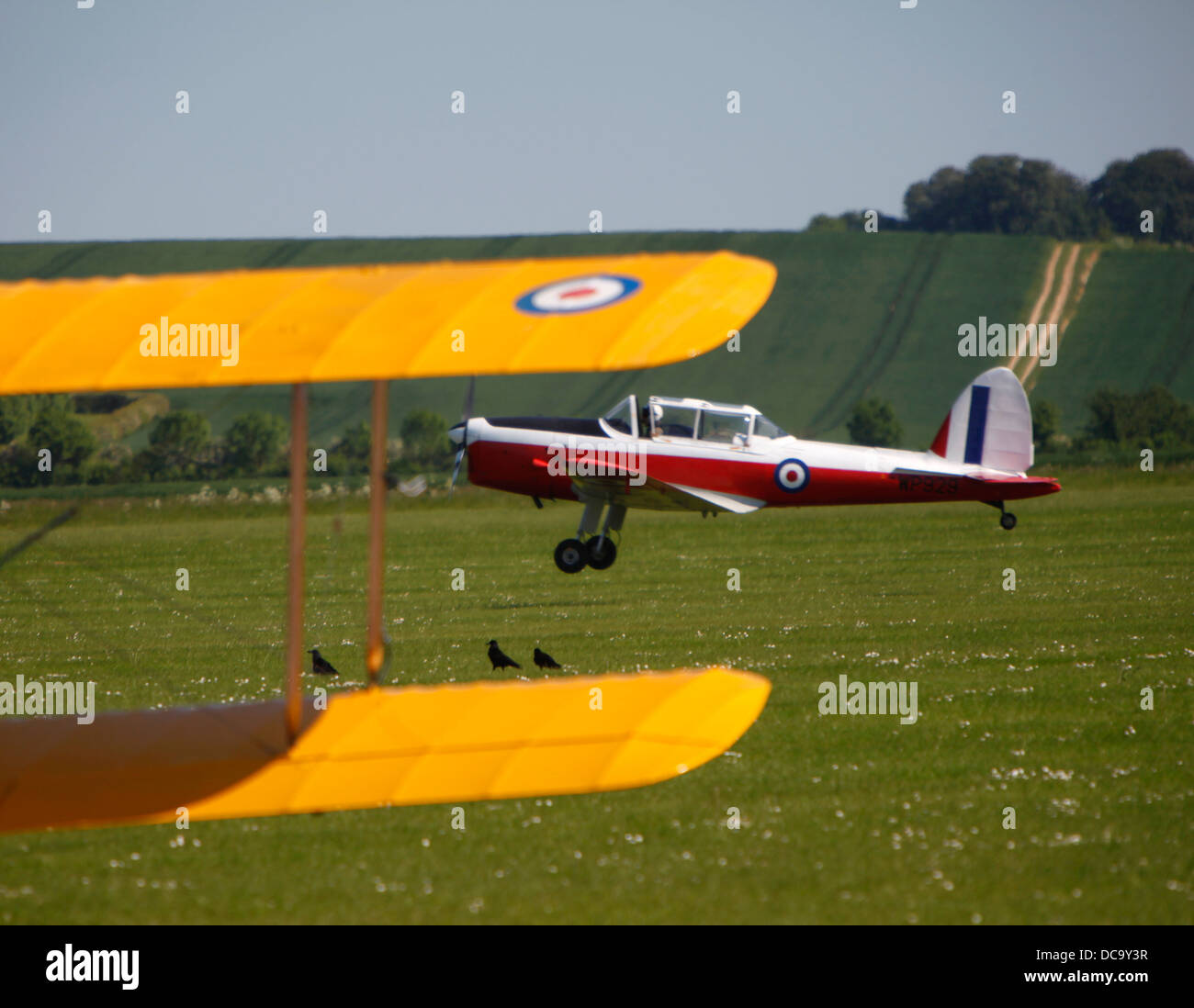 ex-raf tiger moth vintage training aircraft at duxford airfield, cambs ...