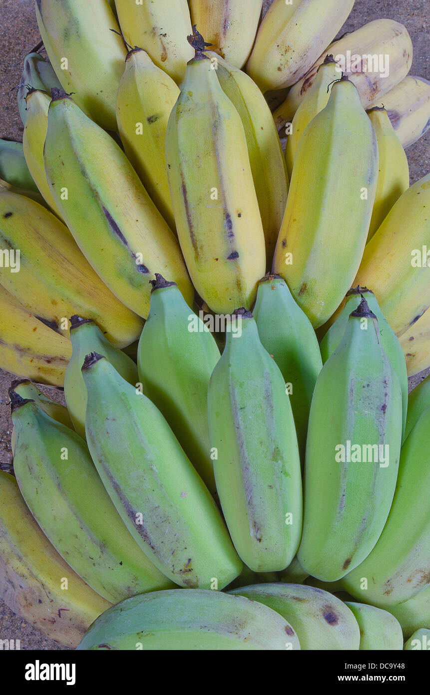 Good banana hi-res stock photography and images - Alamy