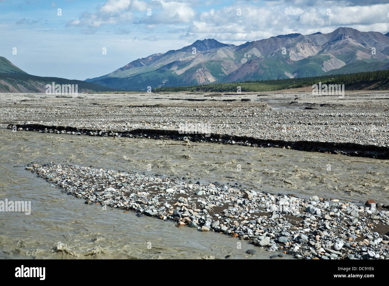 Denali's Toklat River Stock Photo - Alamy