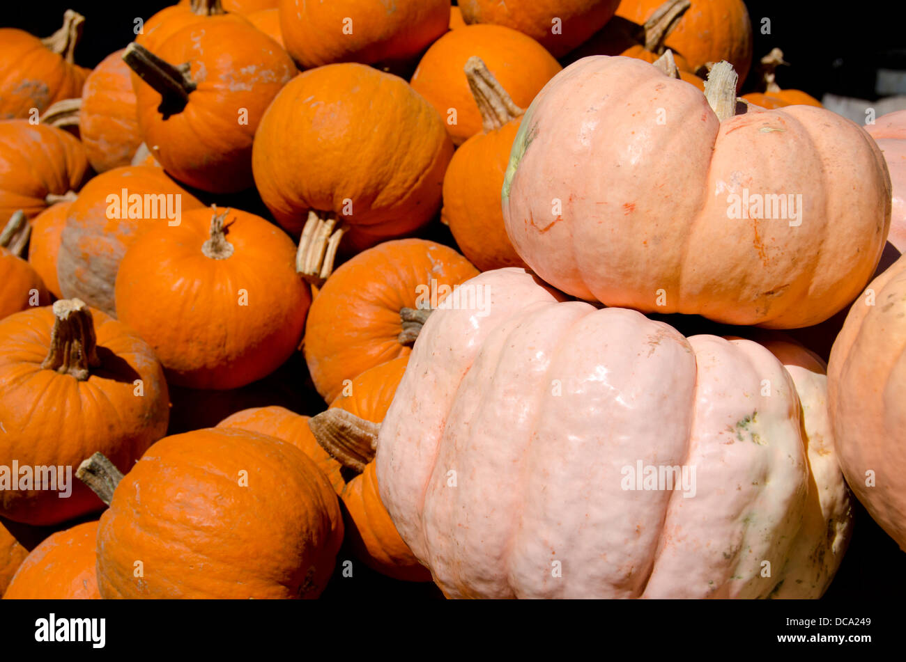 California fruit stand hi-res stock photography and images - Alamy