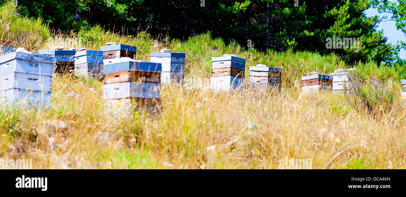 Provence Grass High Resolution Stock Photography and Images - Alamy