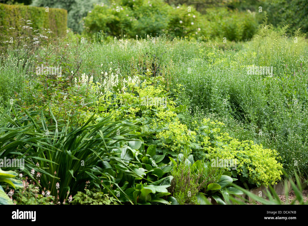 Massed planting in the garden at Cawdor Castle near Nairn Scotland ...