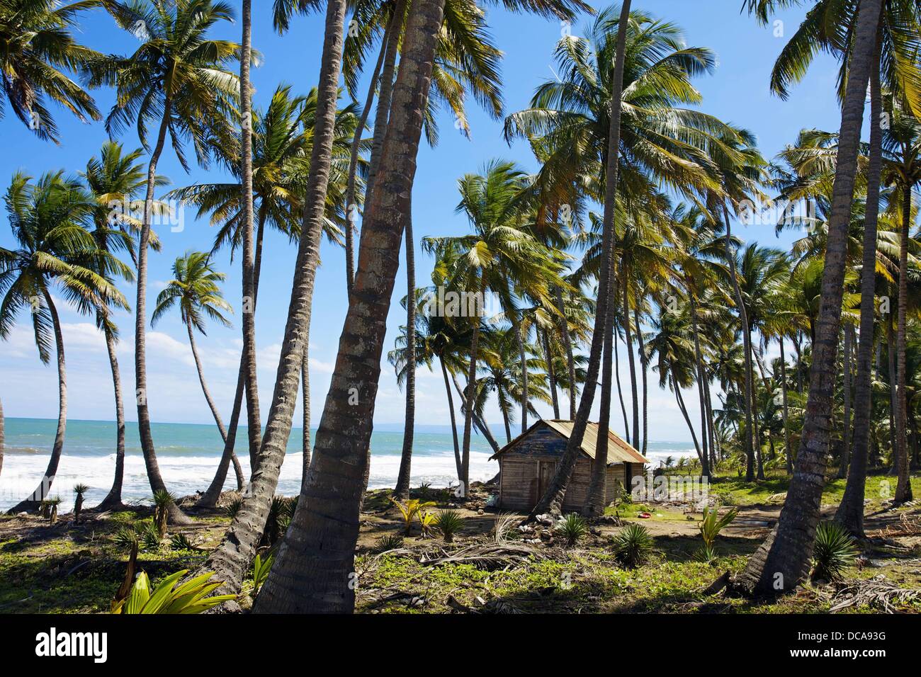 Samana peninsula building hi-res stock photography and images - Alamy