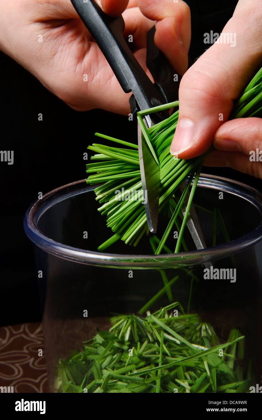 Cutting wheat with scissors Stock Photo - Alamy