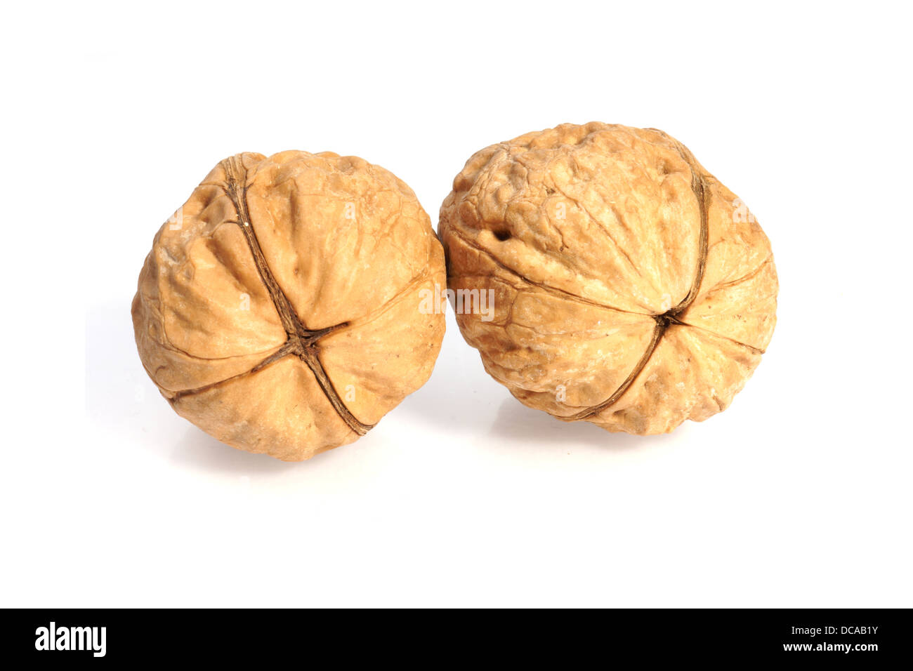 Silver and walnut Cut Out Stock Images & Pictures - Alamy