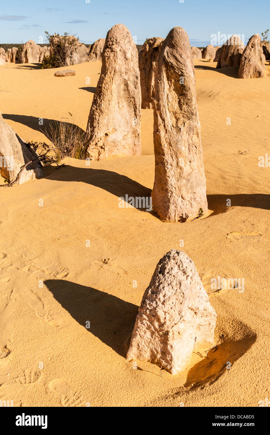 THE PINNACLES, NAMBUNG NATIONAL PARK, NEAR CERVANTES, WESTERN AUSTRALIA ...