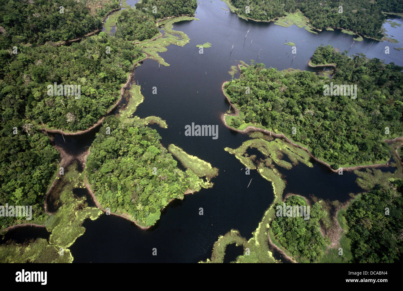 Panama darien national park forest hi-res stock photography and images ...