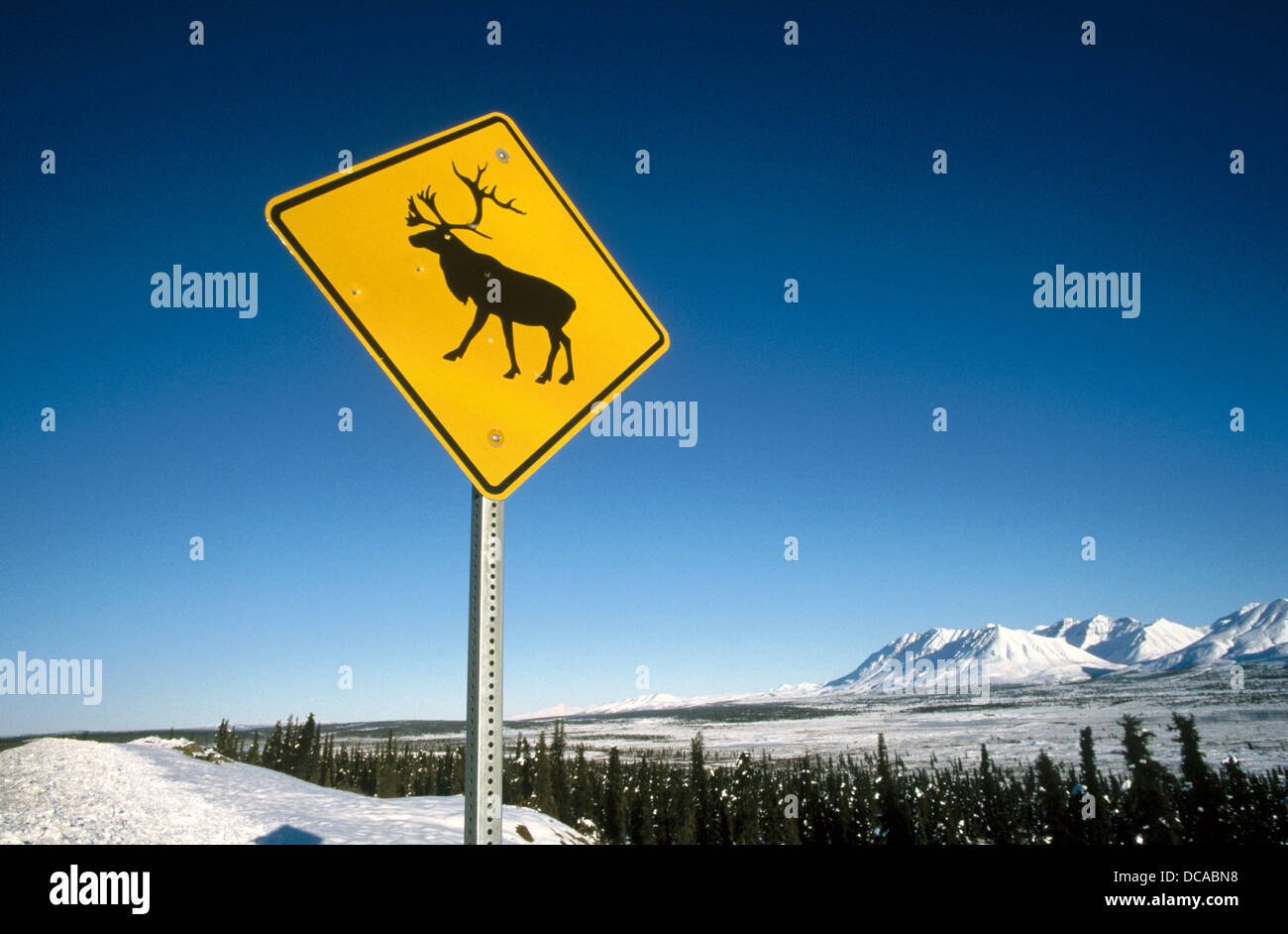 Caribou crossing sign. Columbia glacier. Chugach mountains. Alaska. USA ...