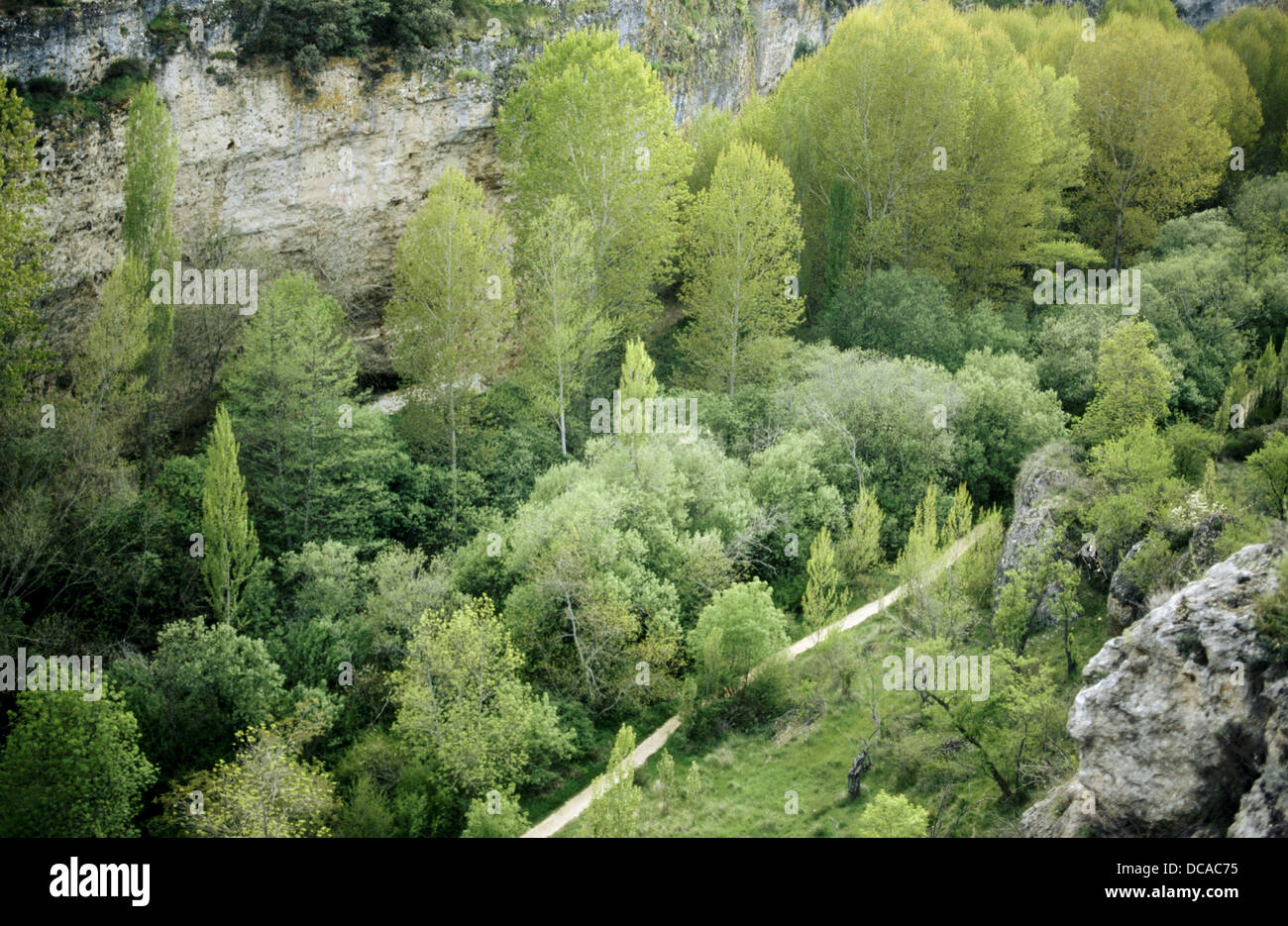 Duratón river. Segovia province, Spain Stock Photo - Alamy