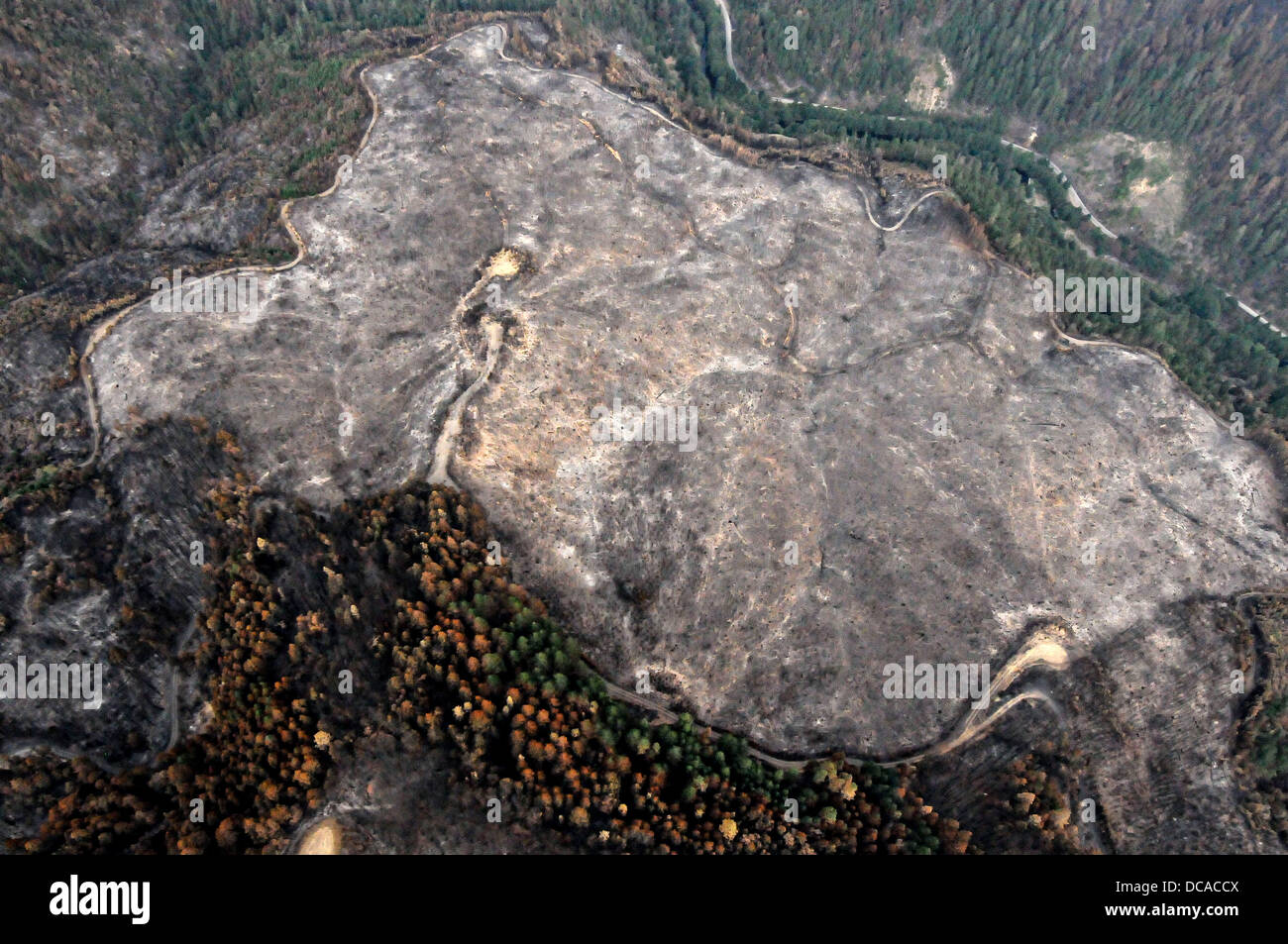 An aerial view of devastation caused by the Douglas Complex forest fire ...