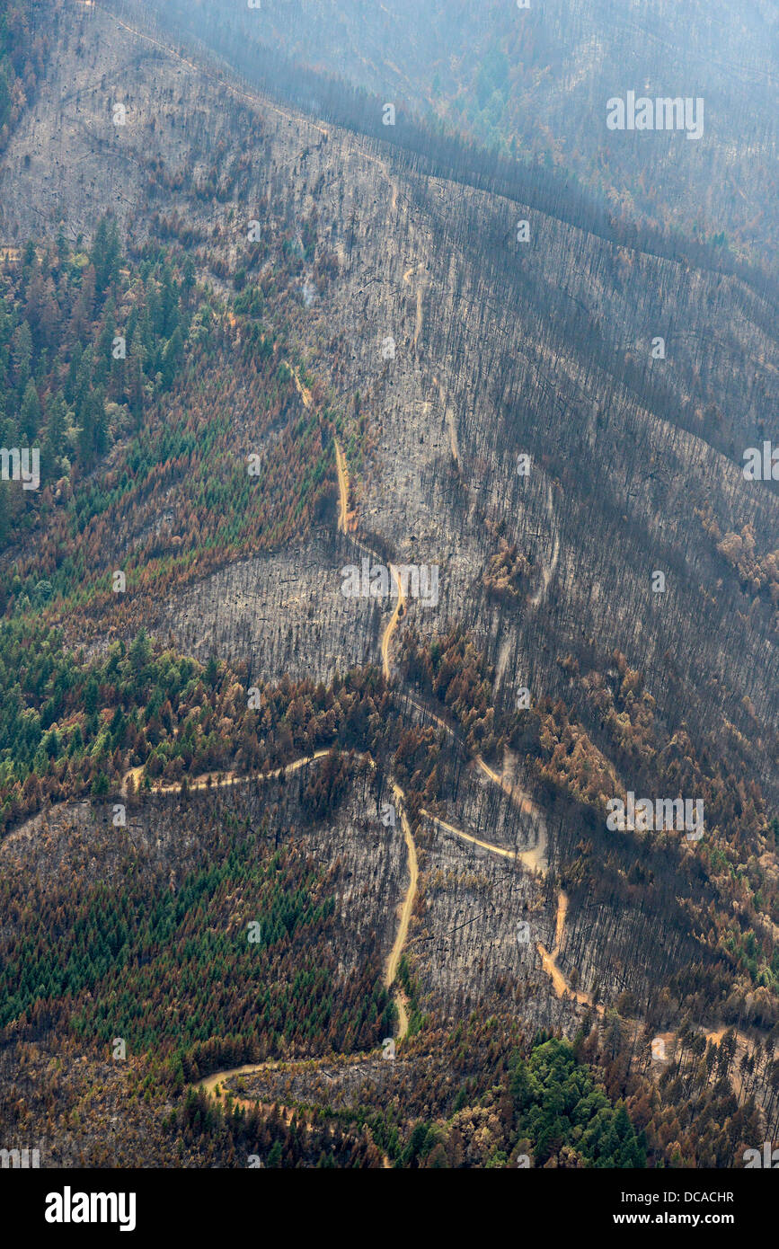 An aerial view of devastation caused by the Douglas Complex forest fire ...