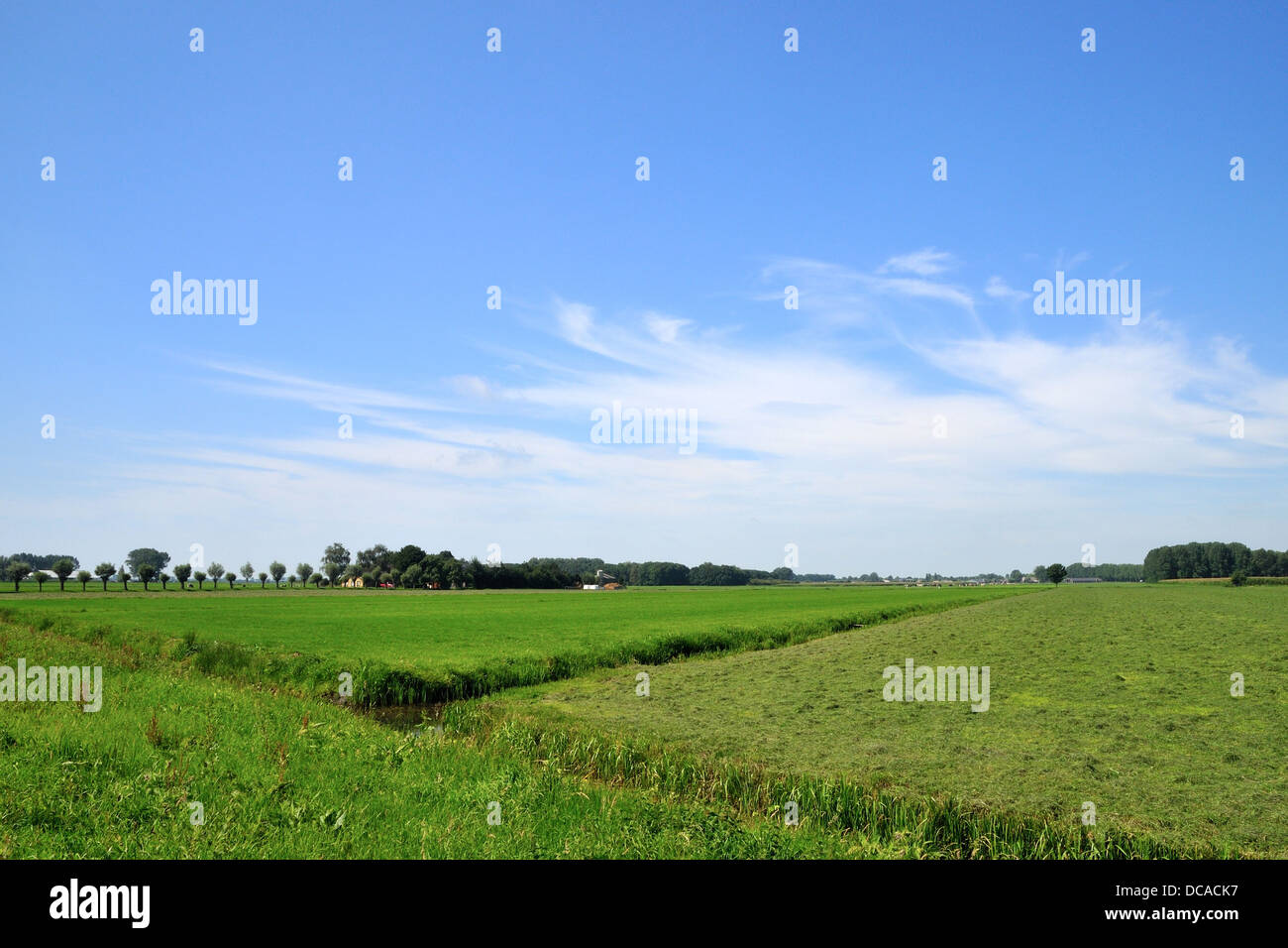 Sky and flat farmland hi-res stock photography and images - Alamy