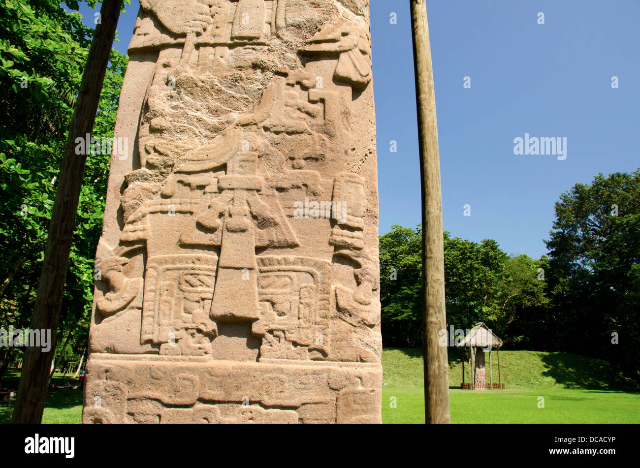 Guatemala, Quirigua Mayan Ruins Archaeological Park (UNESCO). Detail of ...