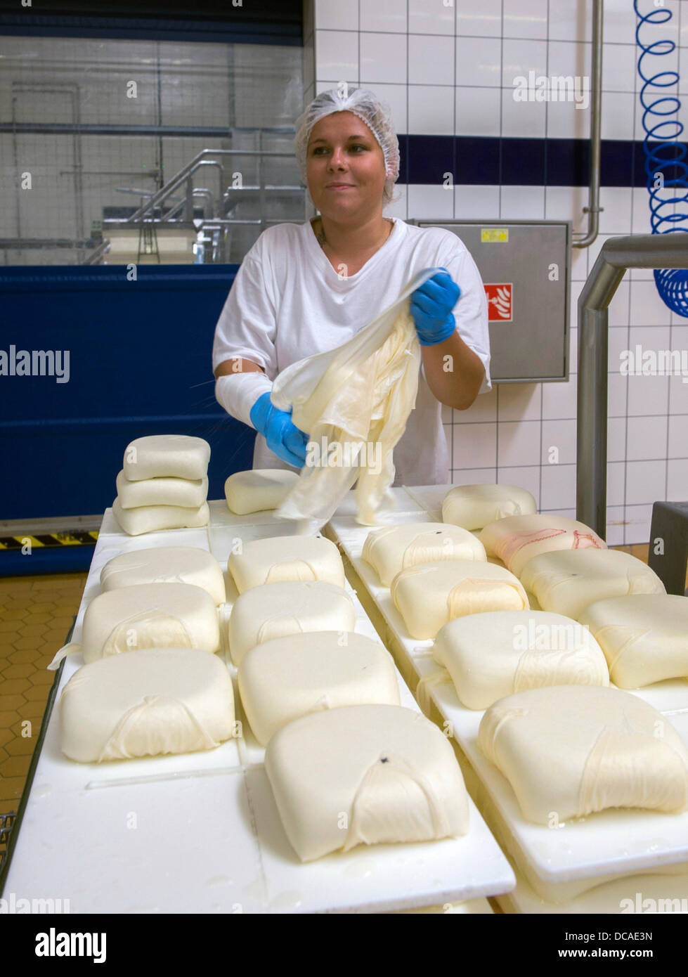 Madeta, the biggest dairy in the Czech Republic, raised revenues this ...