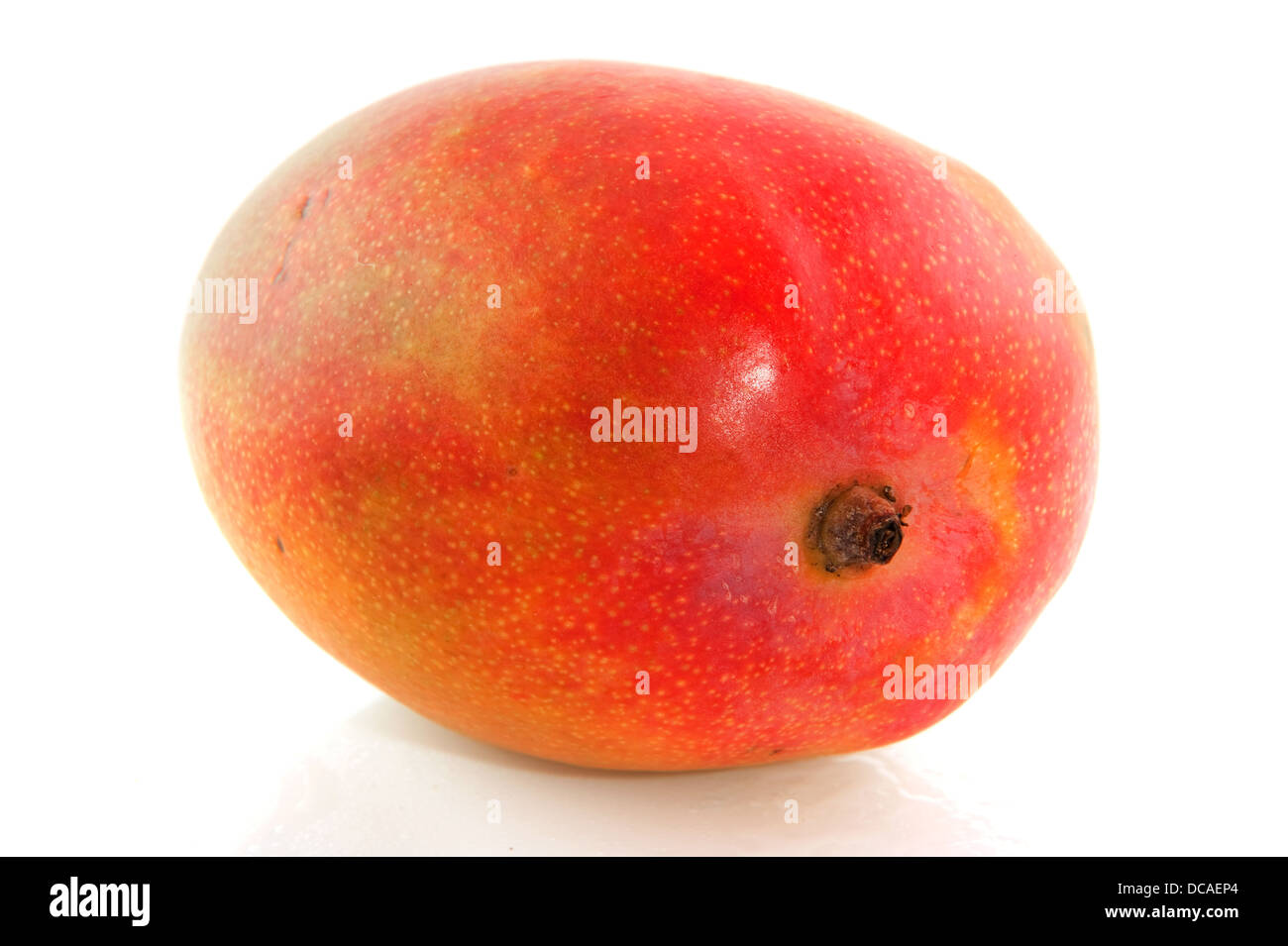 Fresh juicy mango fruit hi-res stock photography and images - Alamy