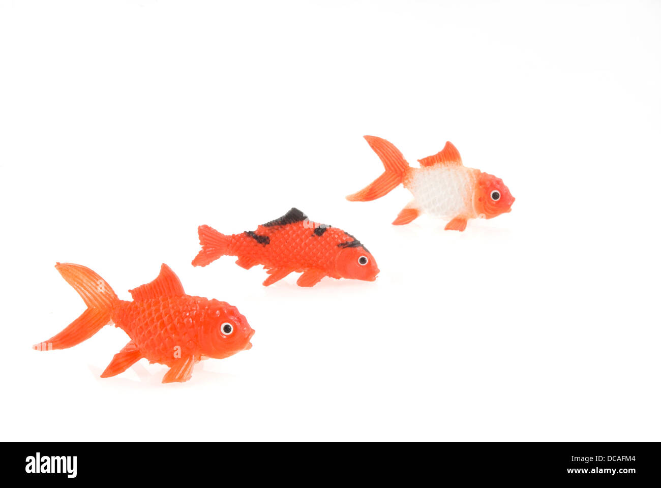 Three fishes hi-res stock photography and images - Alamy