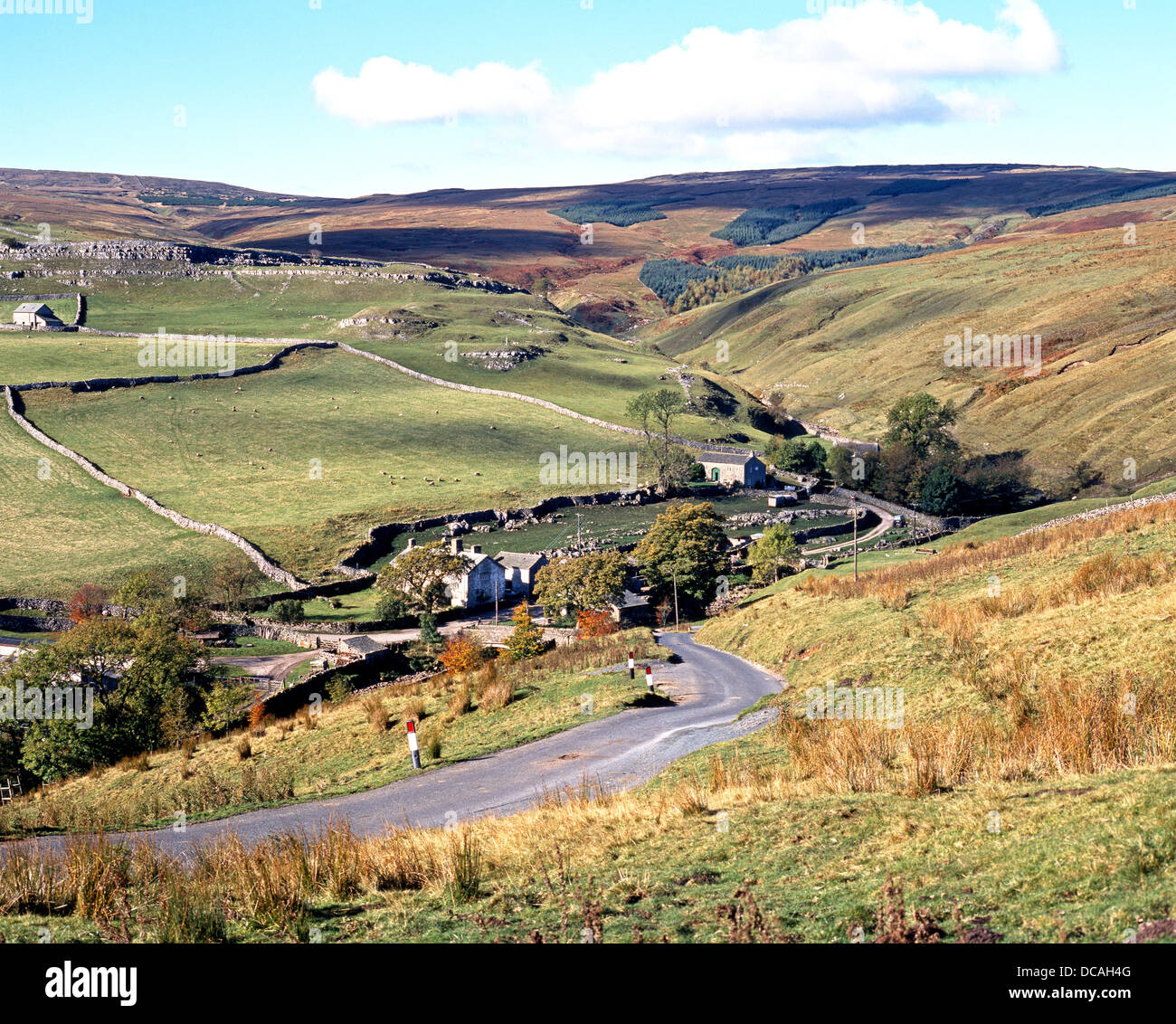 View across farmland and fell, Darnbrook, Yorkshire Dales, North ...