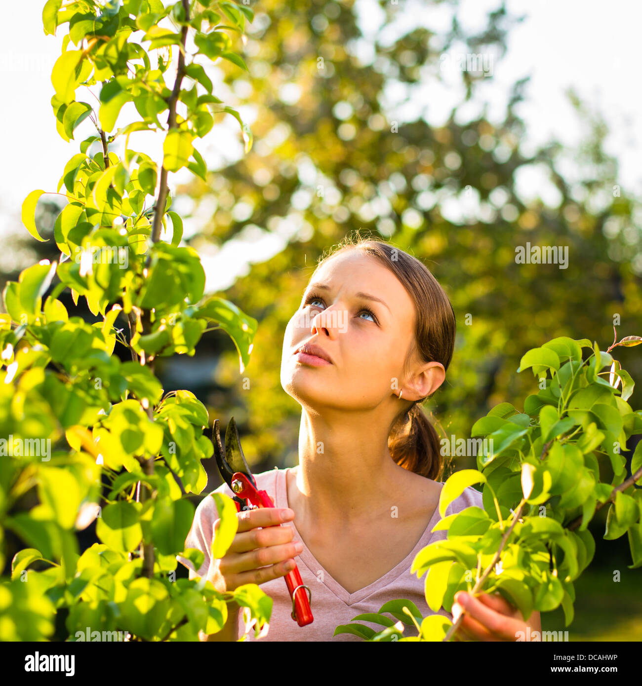 Pretty female gardener taking care of her lovely garden Stock Photo - Alamy