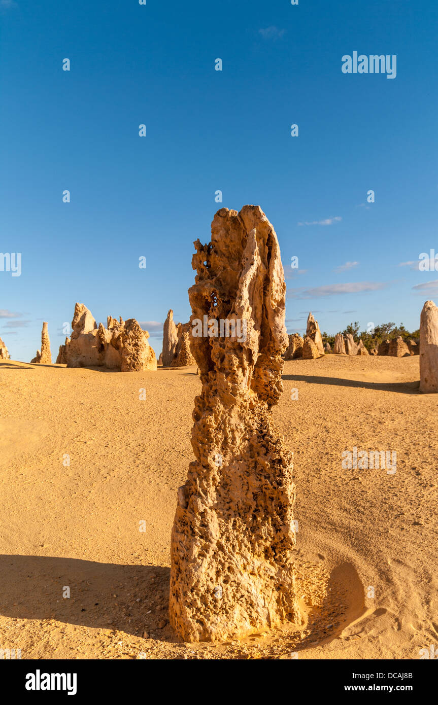 THE PINNACLES, NAMBUNG NATIONAL PARK, NEAR CERVANTES, WESTERN AUSTRALIA ...