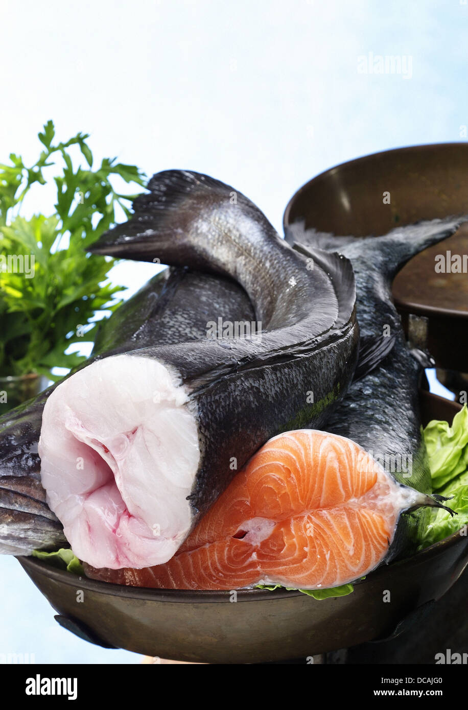 Tail hake hi-res stock photography and images - Alamy