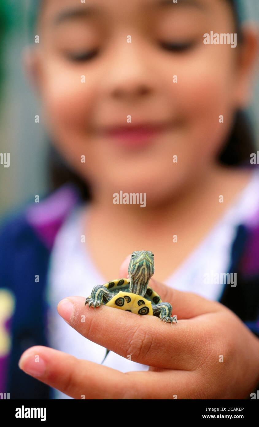 Pet turtle child hi-res stock photography and images - Alamy