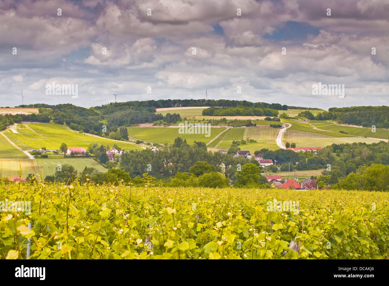 Cote des bar hi-res stock photography and images - Alamy