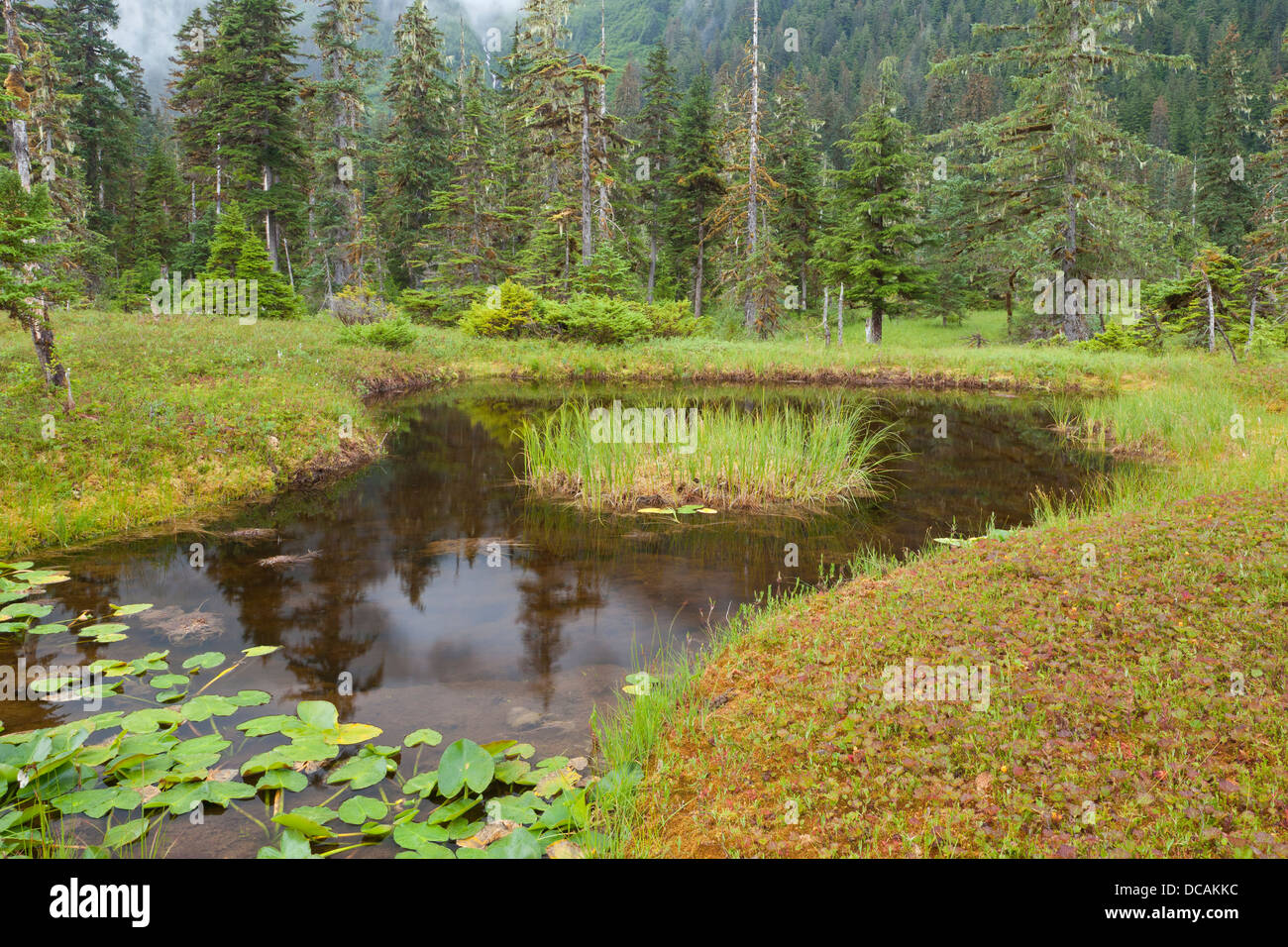 Alaska admiralty pond hi-res stock photography and images - Alamy